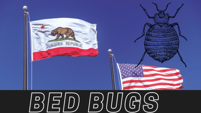 New Bed Bug Laws in California: California Bed Bug Disclosure | Ca